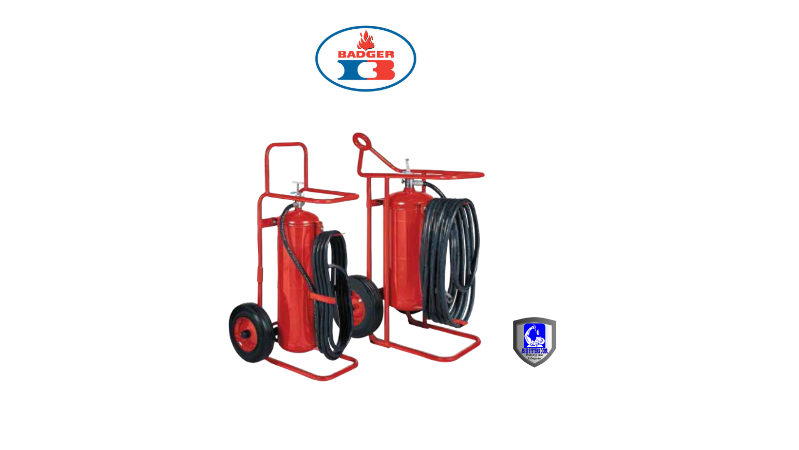 Portable Fire Extinguisher - ASISI SYSTEMS CORP.